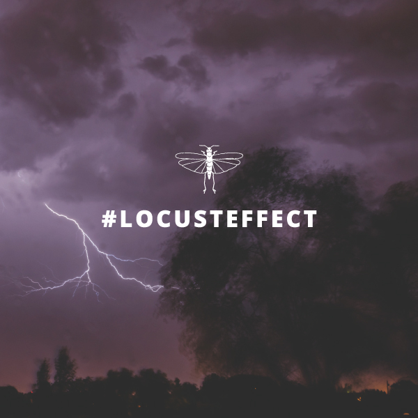 Lightning | The Locust Effect